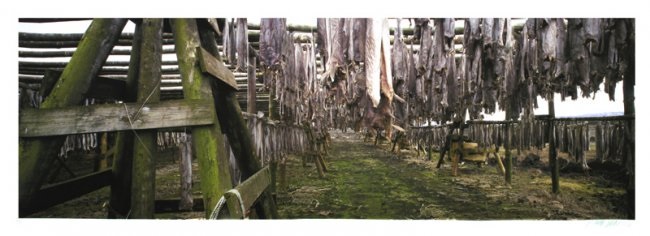 Iceland - Fish Drying Racks by Jonathan M. Singer on artnet