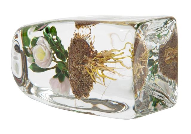 Paul Stankard and Jim DOnofrio Glass Paperweight by Jim D'Onofrio and ...