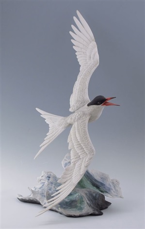 Forsters tern on the wing by Boehm on artnet