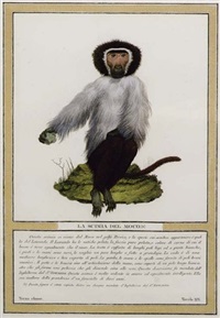 Nicolas Henri Jacob | Artnet