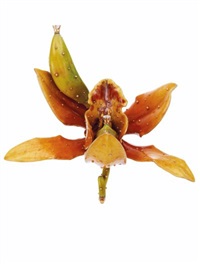 David Freda | Artnet