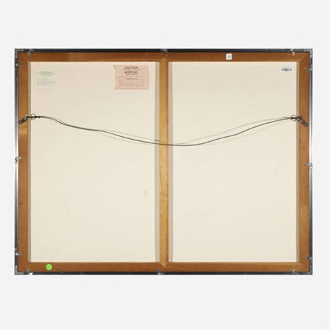 Inaccessible Island Rail from the Exotic Bird series by Frank Stella on ...