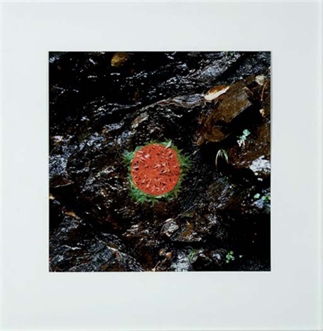 Japanese maple red and green leaves laid on to vertical rock diptych by ...