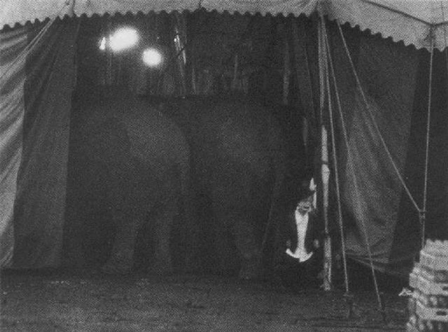 Circus dwarf, Palisades, NJ by Bruce Davidson on artnet
