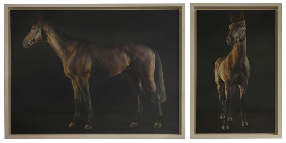 Front and side portraits of a bay horse diptych by Alan Brassington on ...