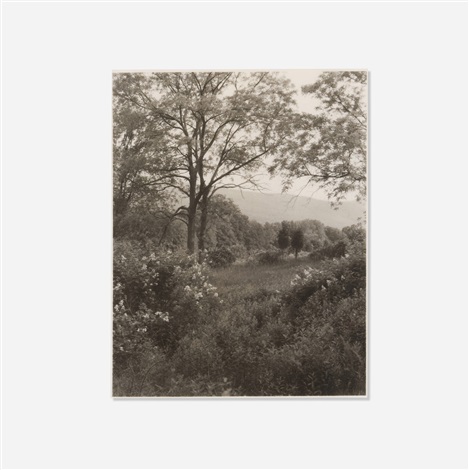 Playing Field, New Jersey by Jan Groover on artnet