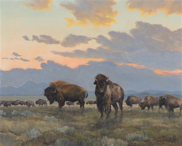 Untitled Buffalo, c. 1960s by Bill Freeman on artnet