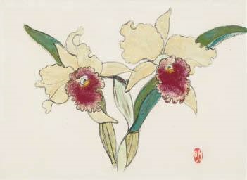 Drawing of cattleya by Meiji Hashimoto on artnet