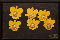 Clementine Hunter | Artnet