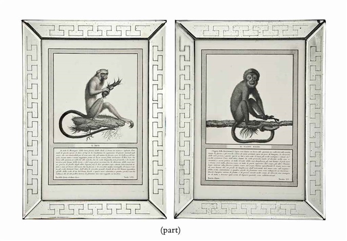 Monkeys 12 works by Nicolas Henri Jacob on artnet