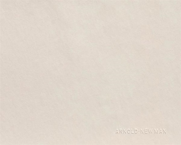 Portrait Of Howard And Barbara Wise by Arnold Newman on artnet