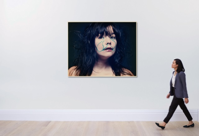 Bjork Poisson-Nageur by Inez van Lamsweerde and Vinoodh Matadin on artnet