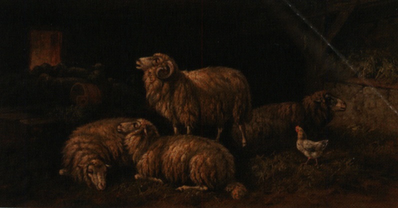 Sheep in stall by Adolf D. Nowey on artnet