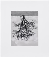 Rodney Graham | Artnet