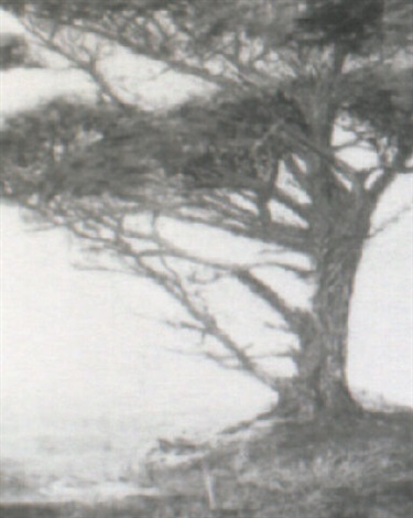 California coast by William Louis Otte on artnet