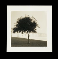 Sandra Russell Clark | Artnet