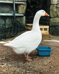 Christophe Drochon | Artnet