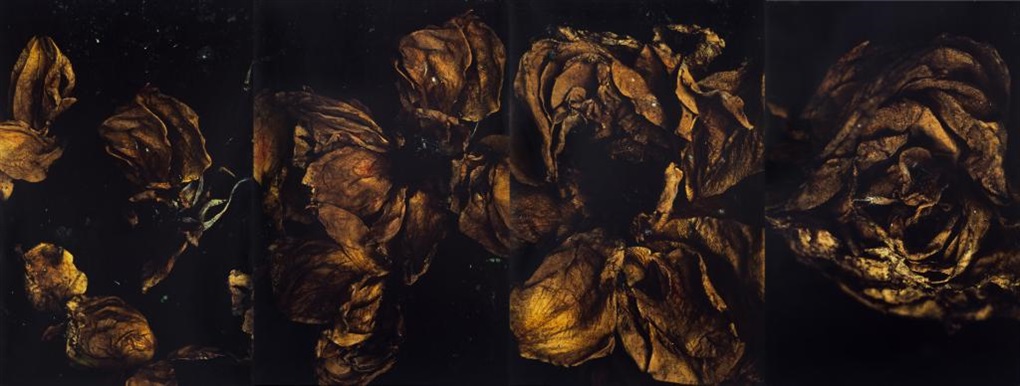 무제 Untitled set of 4 works by Hwang KyuTae on artnet