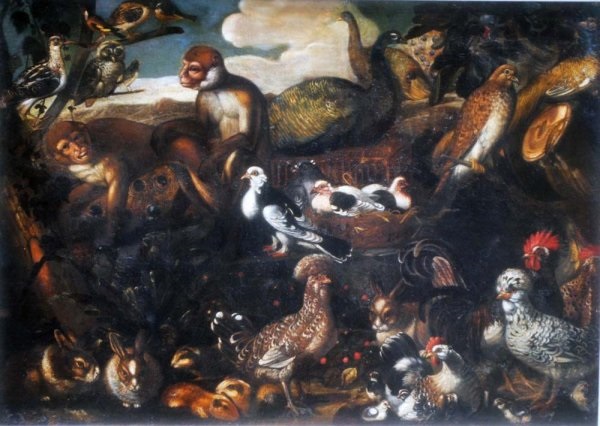 Menagerie of Wild Fowl with Monkeys by Jakob Bogdani on artnet