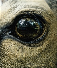 Christophe Drochon | Artnet