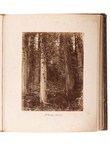 Canadian Scenery by William Notman on artnet