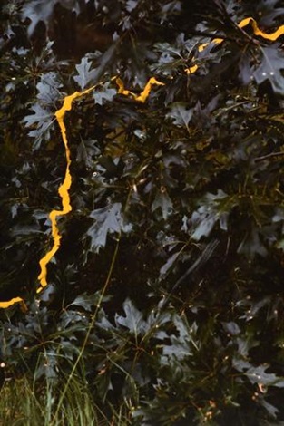 Petals by Andy Goldsworthy on artnet