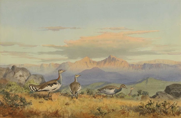 Stanley Bustards below Hodgsonss Peak, Drakensburg by John Cyril ...