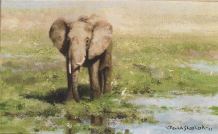 An elephant at a water hole by David Shepherd on artnet