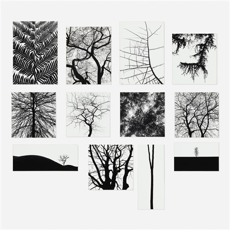 Trees Portfolio by George Tice on artnet
