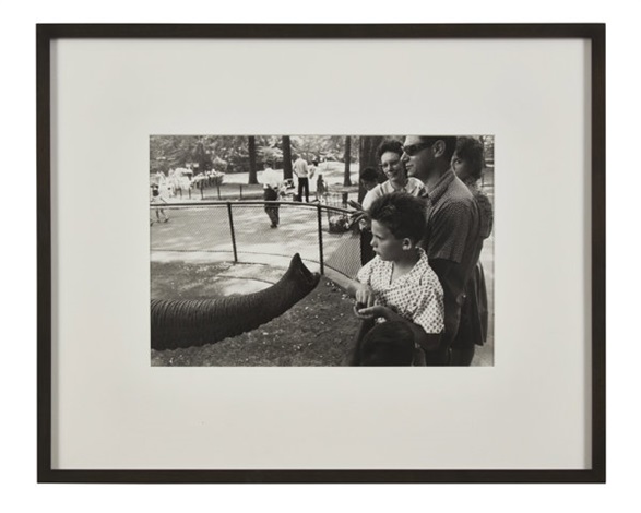 Bronx Zoo from The Animals by Garry Winogrand on artnet