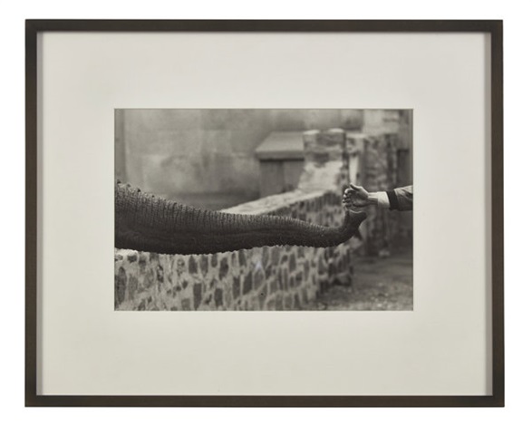 Untitled from The Animals, circa 1963, printed later by Garry Winogrand ...