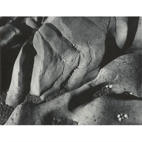 Rocks and limpets, Point Lobos by Ansel Adams on artnet