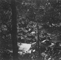 Andy Goldsworthy | Artnet | Page 13