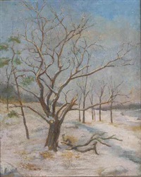 Charles Andrew Hafner | Artnet