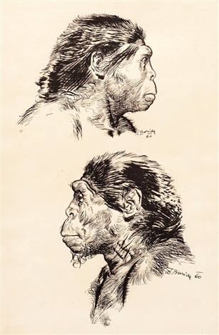 HOMO ERECTUS PEKINENSIS by Zdenek Burian on artnet