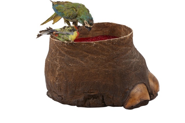 A taxidermy elephant foot by Kelly McCallum on artnet