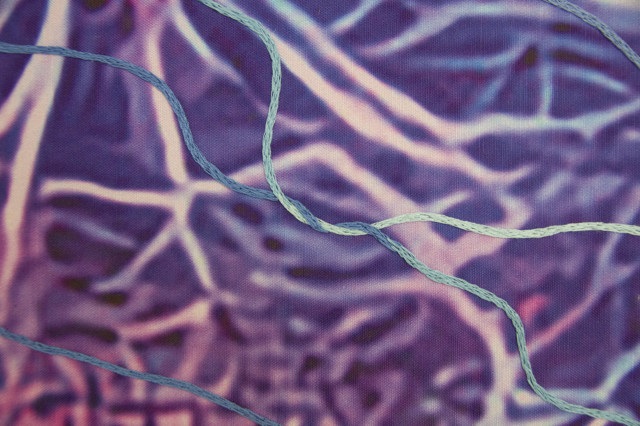 Fluid Frontier by Gretta Louw on artnet