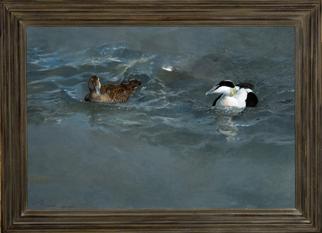 Courtship Eiders by Raymond Harris Ching on artnet