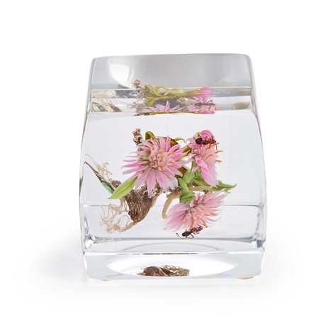 Paul Stankard b. 1943 Paperweight with Pink Flowers and Roots by Paul J ...
