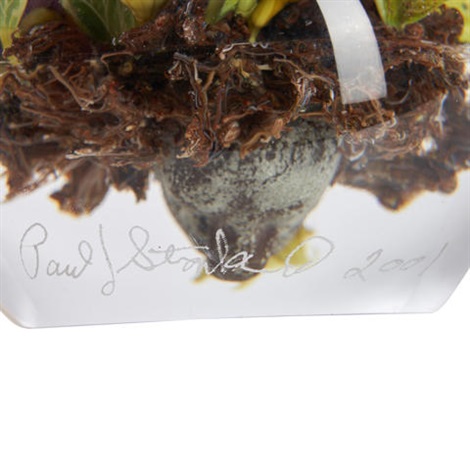 Paul Stankard b. 1943 Botanical Paperweight with Face in Roots by Paul ...