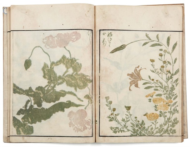 Sôka ryakuga shiki Méthode de dessins rapides de fl eurs et plantes bk ...