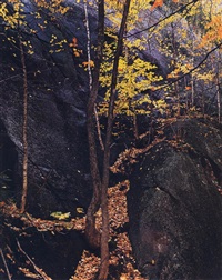 Eliot Porter | Artnet