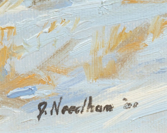 North Face Peak Obscured, Rampart Range Road by Jim Needham on artnet