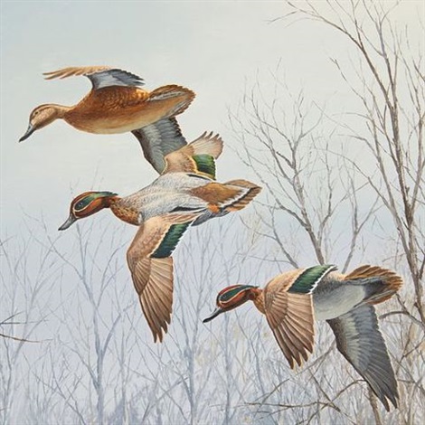 David Maass Green-Winged Teal Oil Painting by David A. Maass on artnet