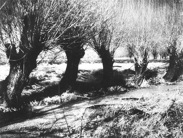 Bez tytułu, pl.II from Wierzby by Edward Hartwig on artnet