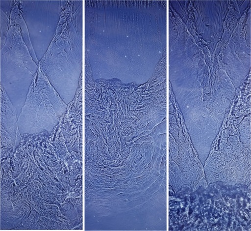 Recycling Lucifers Fall Homage to Hildegard von Bingen I, II and III by ...