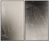 Susan Derges | Artnet