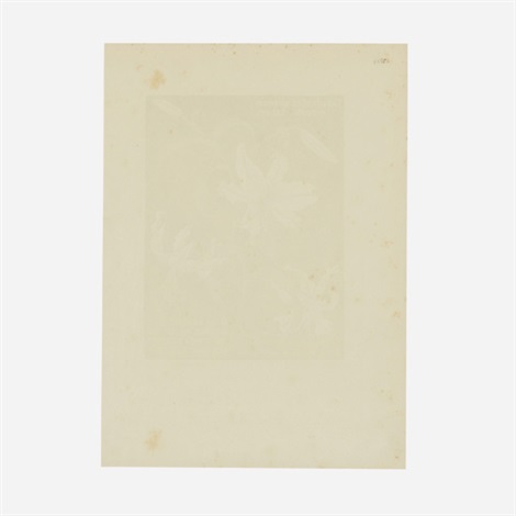 Flowers Lilies by M.C Escher on artnet