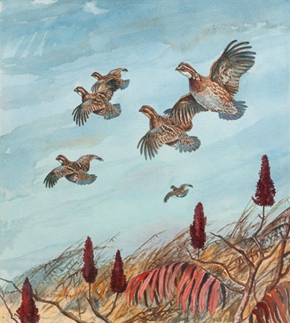 Quail In Flight