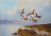 David Falconer | Artnet